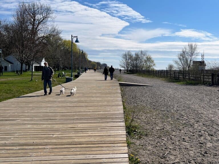 18 Epic Things to Do in Toronto's Beaches Neighbourhood