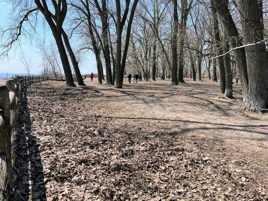 Cherry Beach Toronto: A Local's Guide