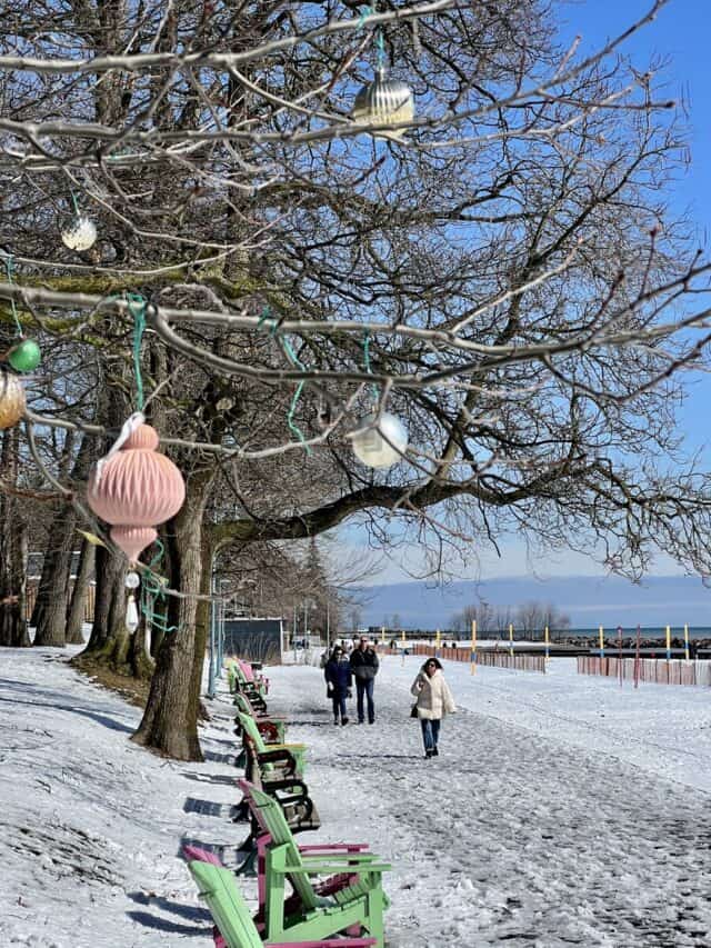 33 Fun Winter Activities to Try in Toronto 2026