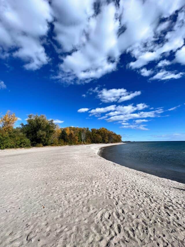 17 Best Beaches in Toronto: Your 2026 Beach Guide
