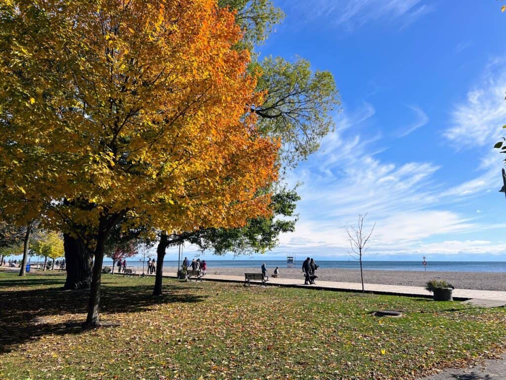 Toronto Beaches Boardwalk: A Hidden Gem in the City