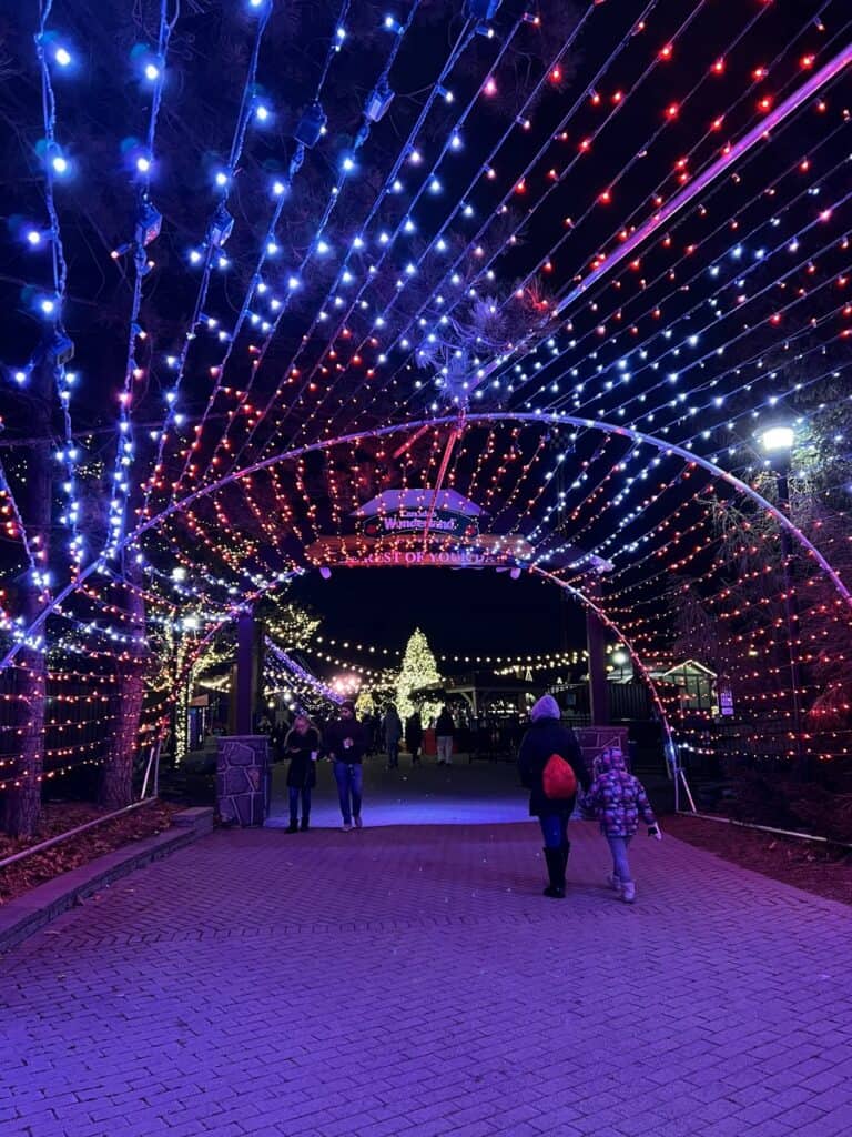 WinterFest at Canada’s Wonderland: A Visitor's Guide