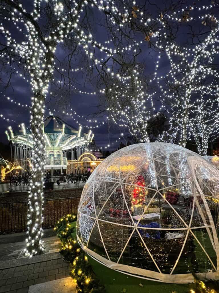 WinterFest at Canada’s Wonderland: A Visitor's Guide