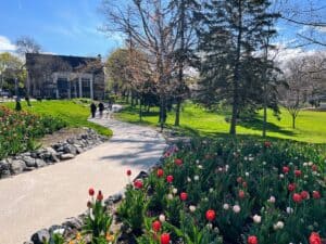 31 Best Things to do in Toronto in Spring 2026