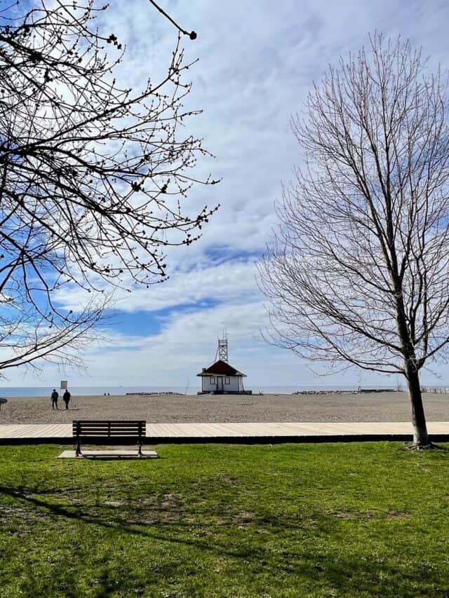 31 Best Things to do in Toronto in Spring 2026