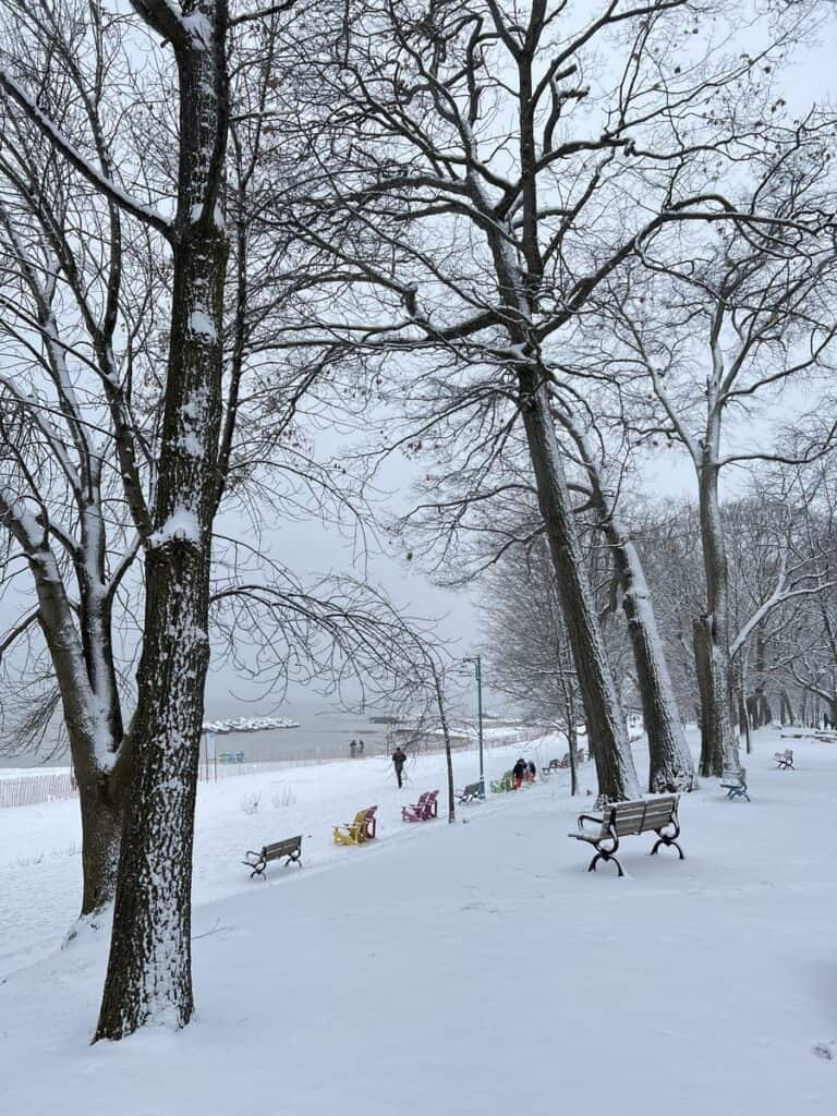 33 Fun Winter Activities to Try in Toronto 2026