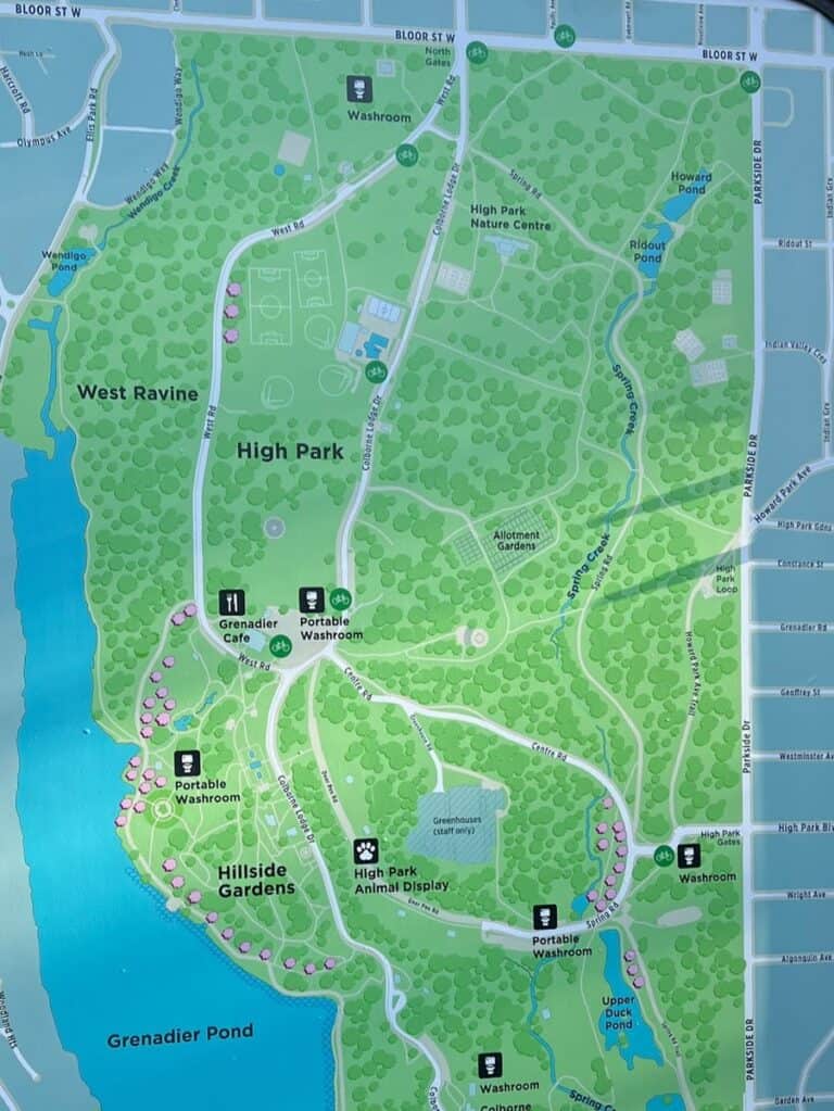 30 Best Places to See Toronto's Cherry Blossoms This Spring