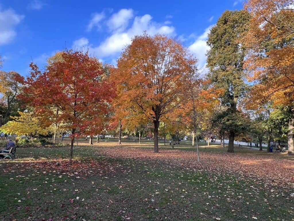 25 Best Places to See Fall Colours in Toronto 2026