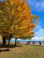 25 Best Places to See Fall Colours in Toronto 2026