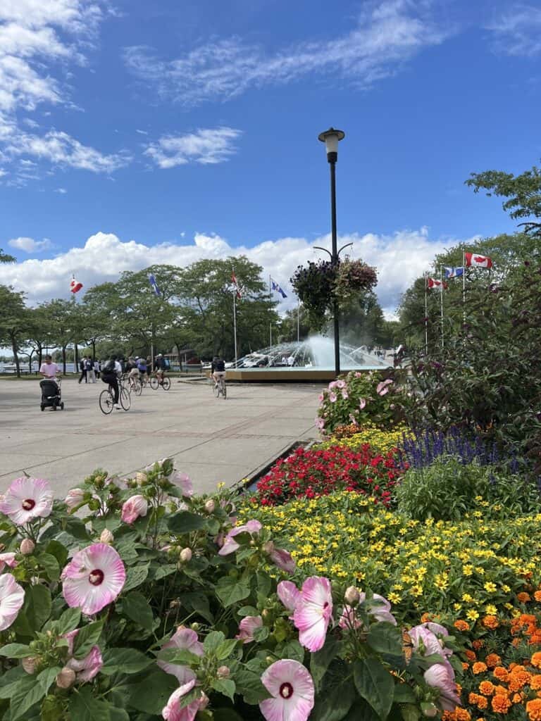 A Local’s Guide to the Best Toronto Gardens