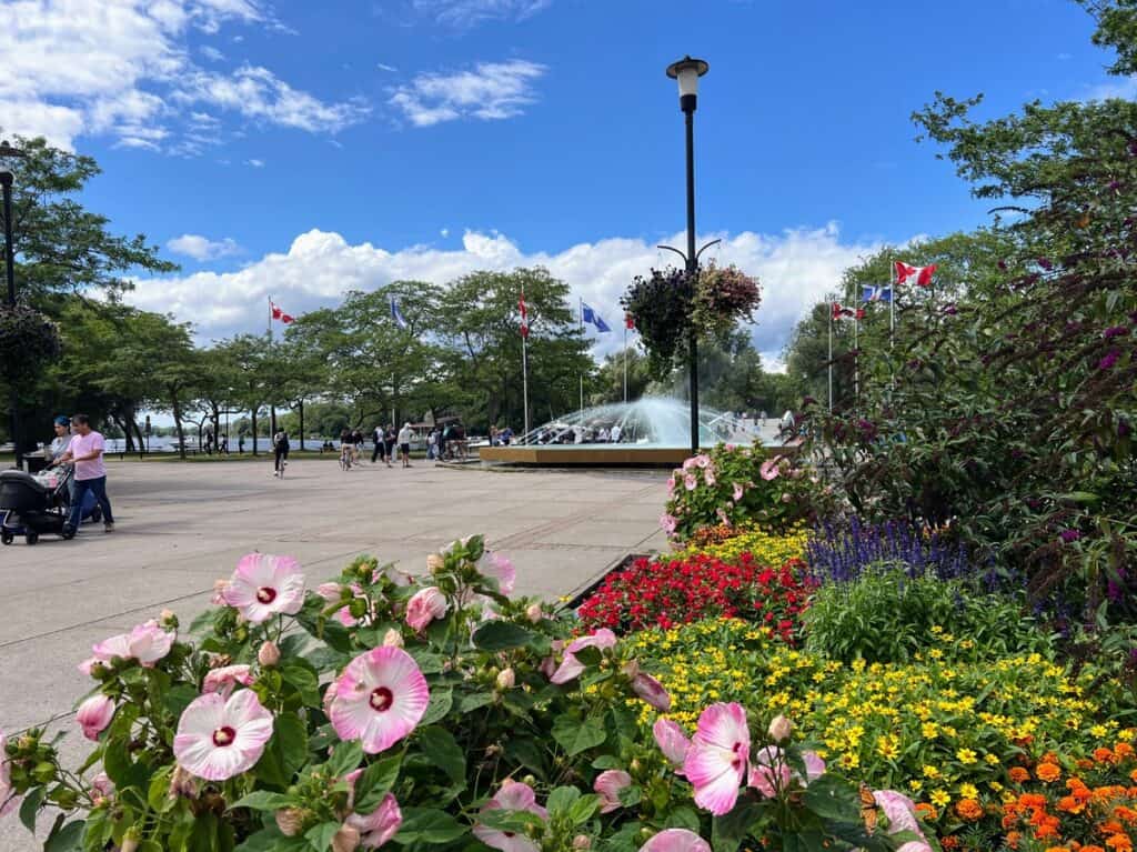 A Local’s Guide to the Best Toronto Gardens