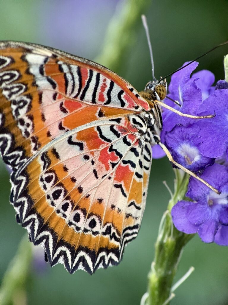 Adventure Pass Niagara Falls: Is It Worth It? (2026 Guide)