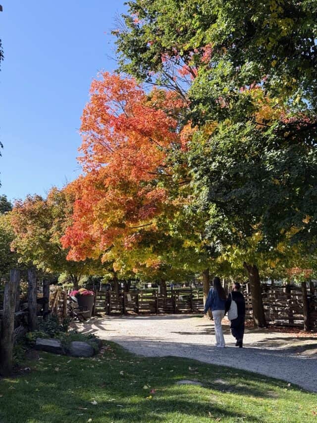25 Best Free Museums in Toronto to Visit