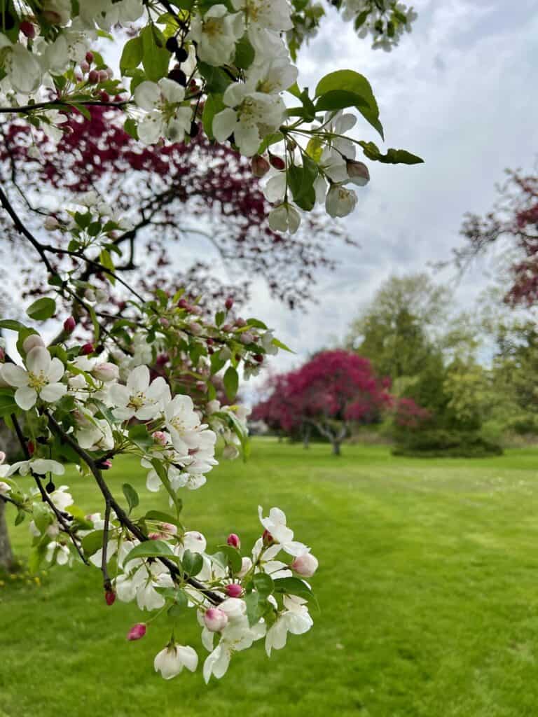 Spring in Niagara Falls, Canada: The Ultimate Travel Guide
