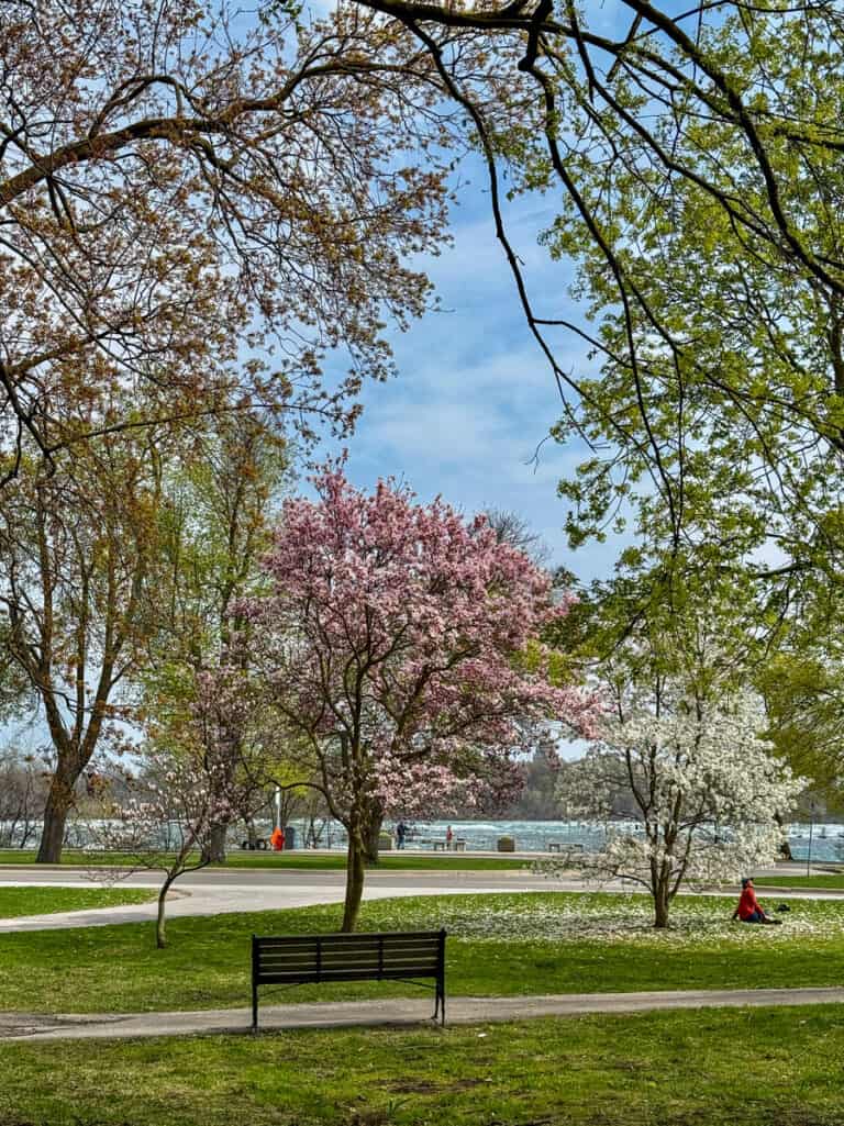 Spring in Niagara Falls, Canada: The Ultimate Travel Guide